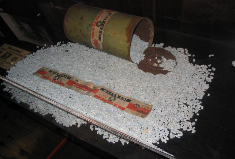 Cyklon B służył w Auschwitz nie tylko do mordowania. Do czego używali ...