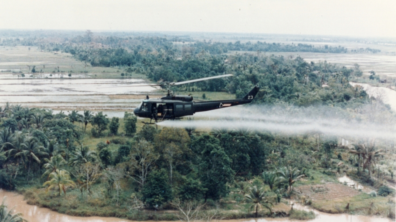 Agent Orange. Czy amerykańskie herbicydy rozpylane nad Wietnamem ...