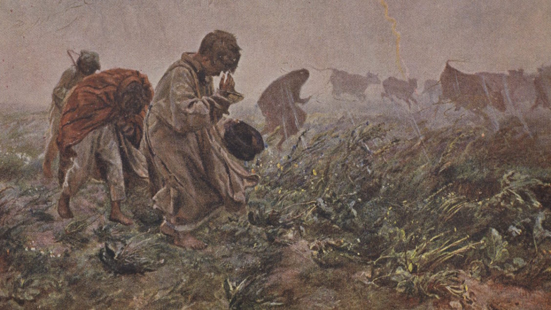 Polscy chłopi, którzy oddali swoją wolność. Dlaczego wolni ludzie ...